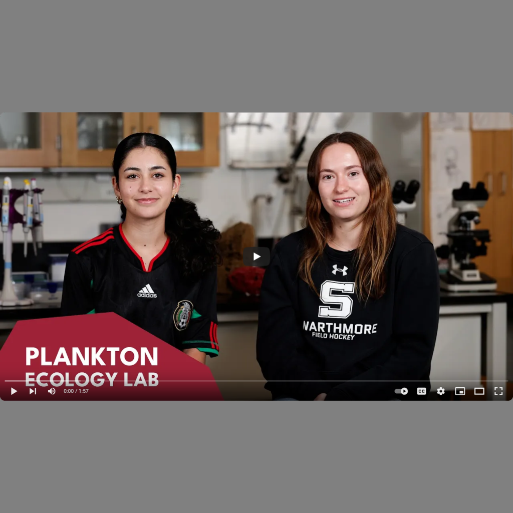 Summer Research in Video – Quantitative Plankton Ecology Laboratory